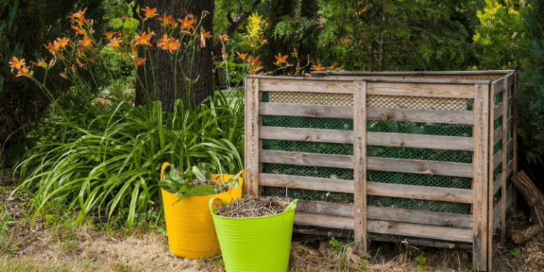 How to Compost in Your Backyard - Eco-Cycle