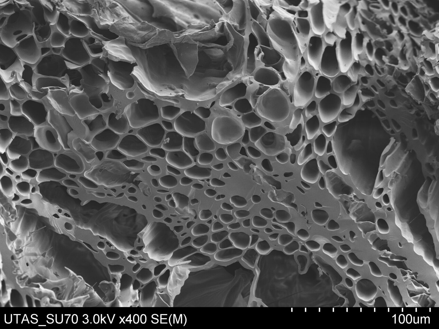 What Is Biochar? - Eco-Cycle